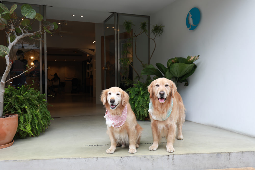 台北民生社區美食｜The Antipodean 澳式早午餐、澳洲風格咖啡店。寵物友善餐廳、招牌皇后大早餐 – 洛基小聿媽