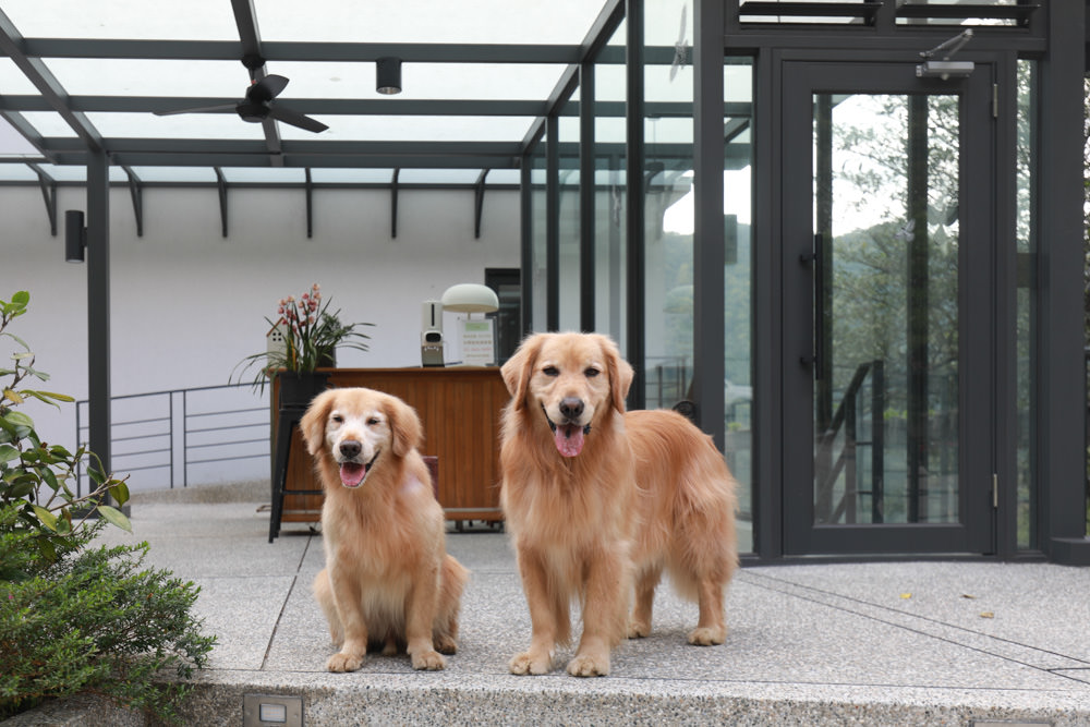 新北烏來溫泉住宿｜烏來足立司拉Sla Ulay溫泉會館、梯田溫泉背包客旅店、寵物友善飯店民宿、房間私人湯屋 – 洛基小聿媽