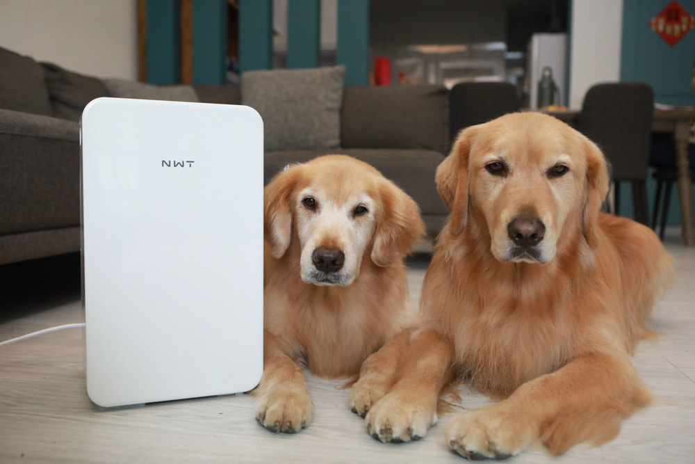 NWT威技一級能效6公升銀離子抗菌除濕機(WDH-06ES)。體積輕巧、強效除濕 一鍵清淨、快速乾衣 – 洛基小聿媽