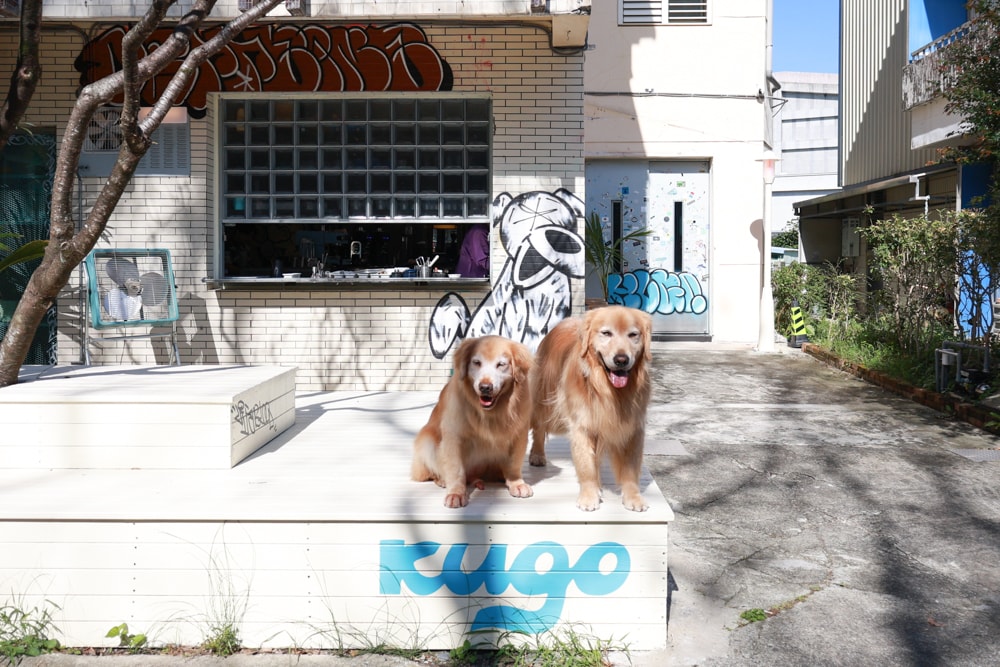 宜蘭五結美食｜酷狗咖啡 KUGO CAFÉ。寵物友善餐廳、隱藏巷弄中的超酷美式塗鴉咖啡廳、美式工業風、隱藏油飯 – 洛基小聿媽