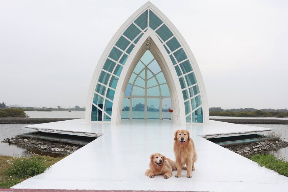 LAPOPO 拉波波村｜基隆豪華露營。一泊三食免裝備、獨立衛浴＋峽谷生態導覽＋寵物友善露營 – 洛基小聿媽