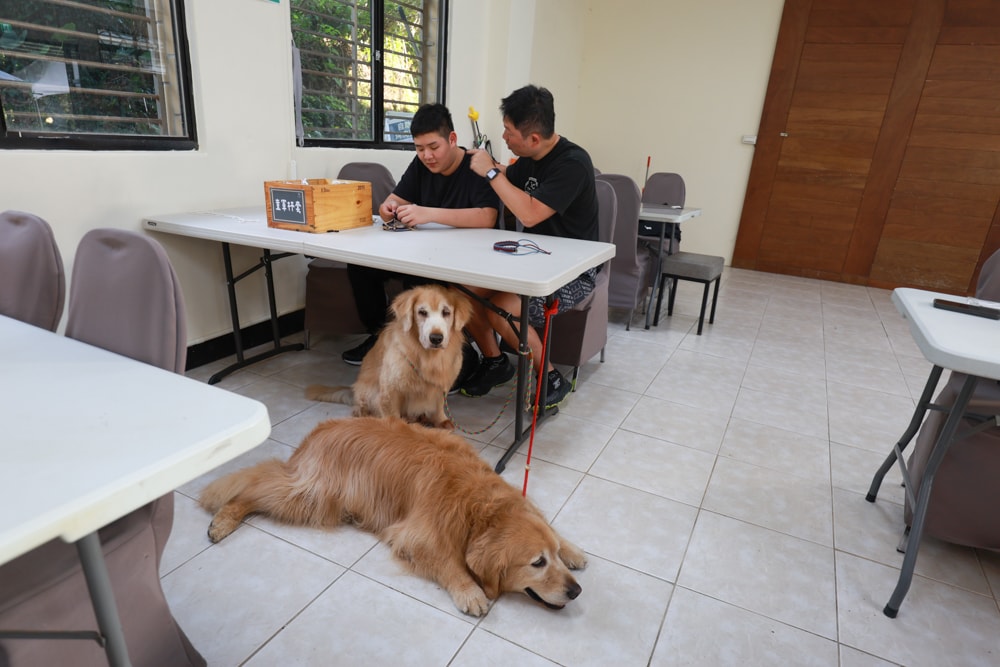 LAPOPO 拉波波村｜基隆豪華露營。一泊三食免裝備、獨立衛浴＋峽谷生態導覽＋寵物友善露營 – 洛基小聿媽